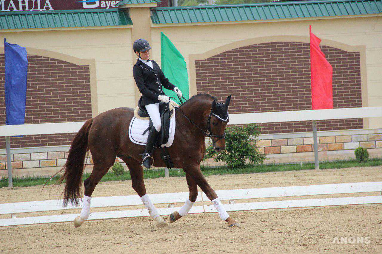 ANONS.uz - Экскурсия в конном клубе «Argamak-Sher»