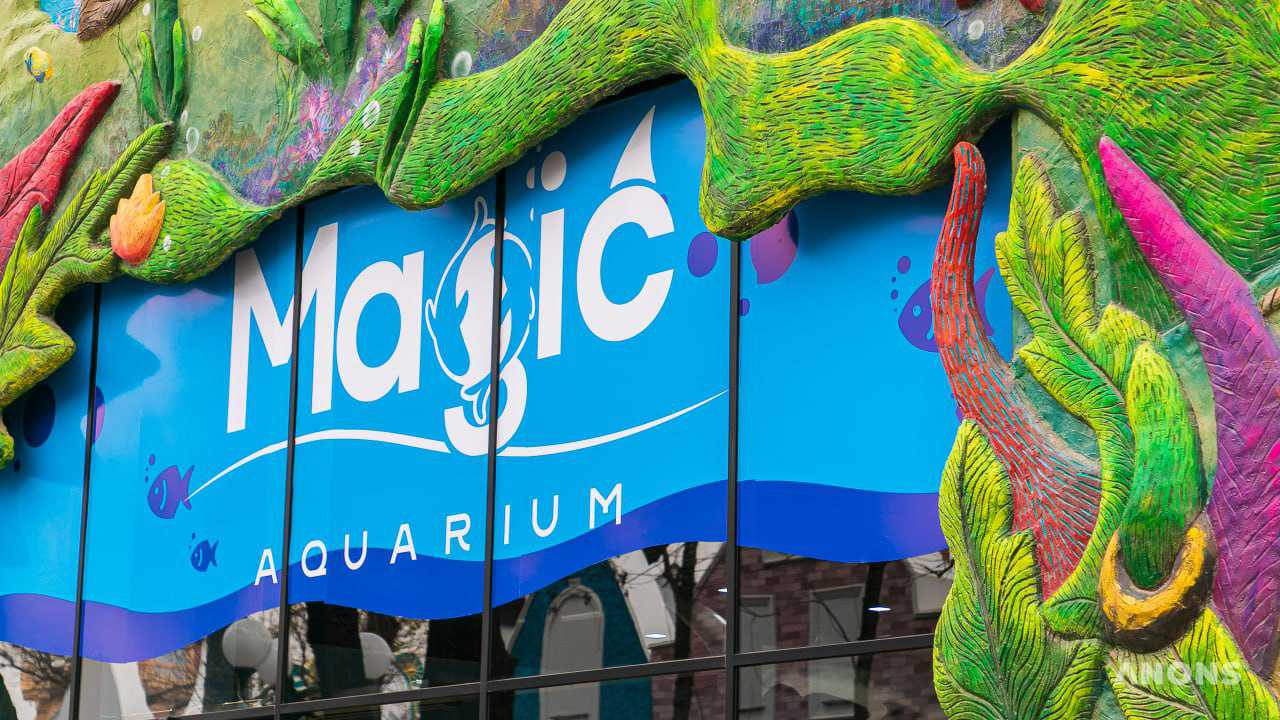 ANONS.uz - Magic Aquarium в парке Magic City