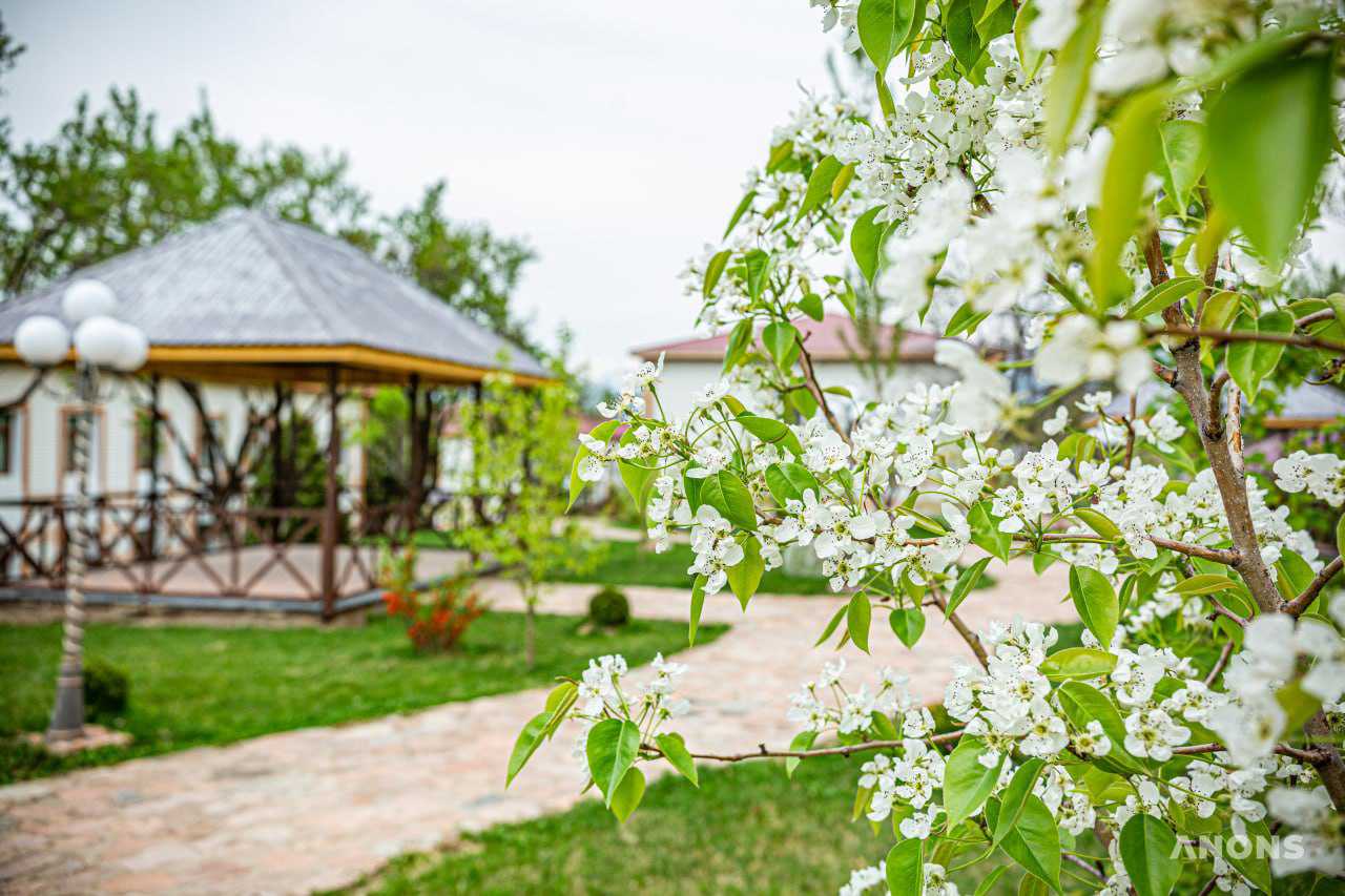 ANONS.uz - Shashlik party в Layner