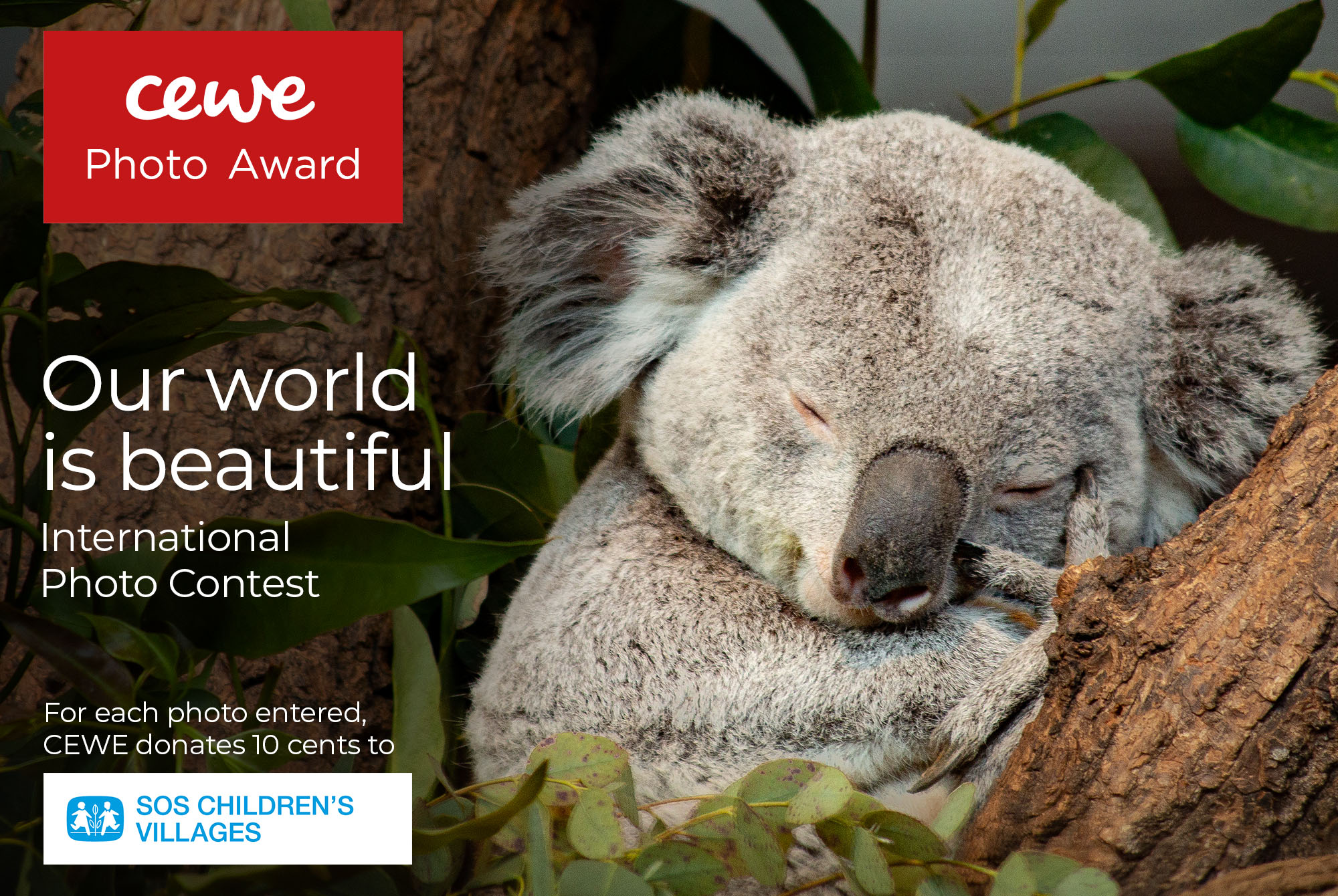 ANONS.uz - Объявлен международный фотоконкурс CEWE Photo Award 2021