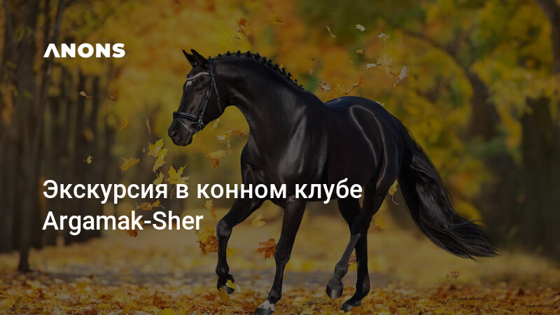 ANONS.uz - Экскурсия в конном клубе Argamak-Sher