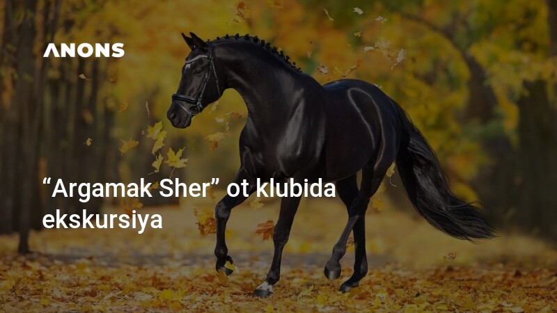 ANONS.uz - “Argamak Sher” ot klubida ekskursiya
