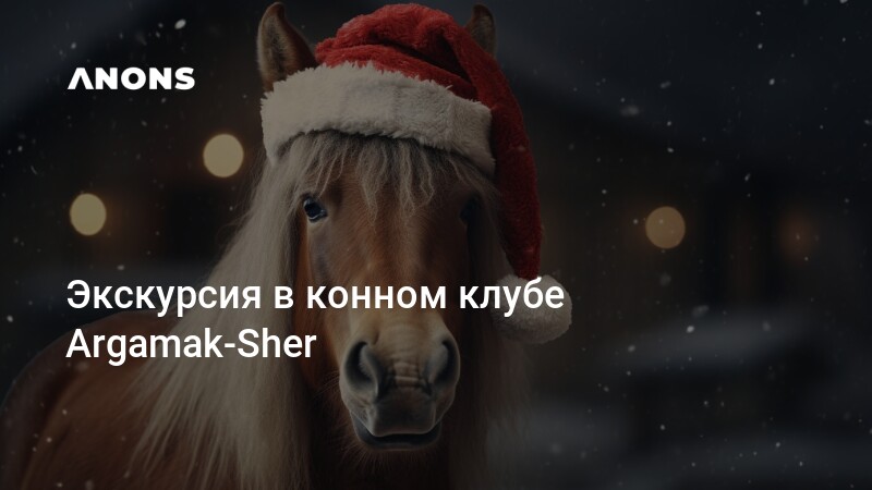 ANONS.uz - Экскурсия в конном клубе Argamak-Sher