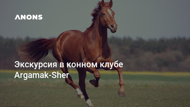 ANONS.uz - Экскурсия в конном клубе Argamak-Sher