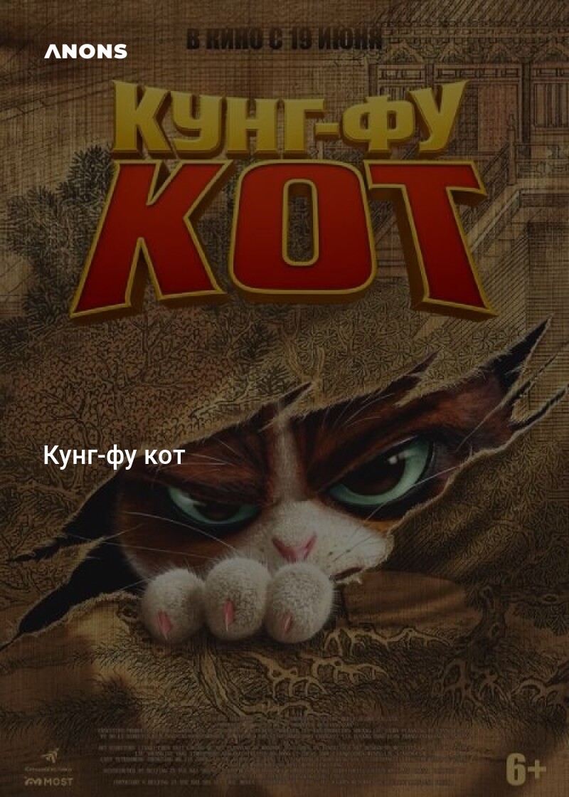 ANONS.uz - Кунг-фу кот