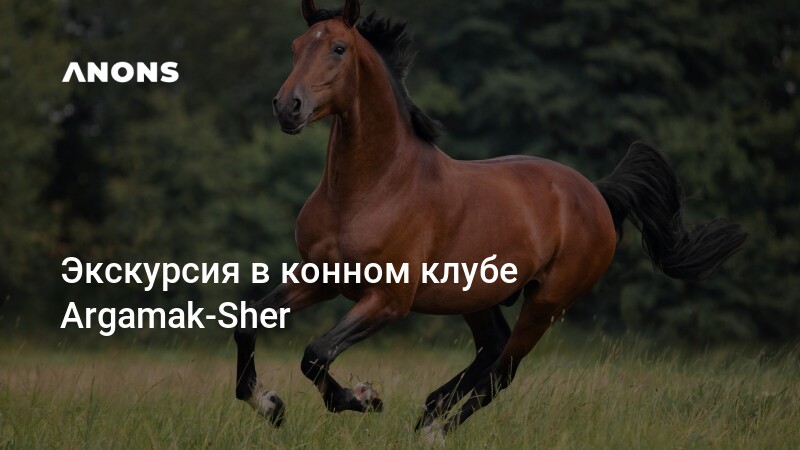ANONS.uz - Экскурсия в конном клубе Argamak-Sher
