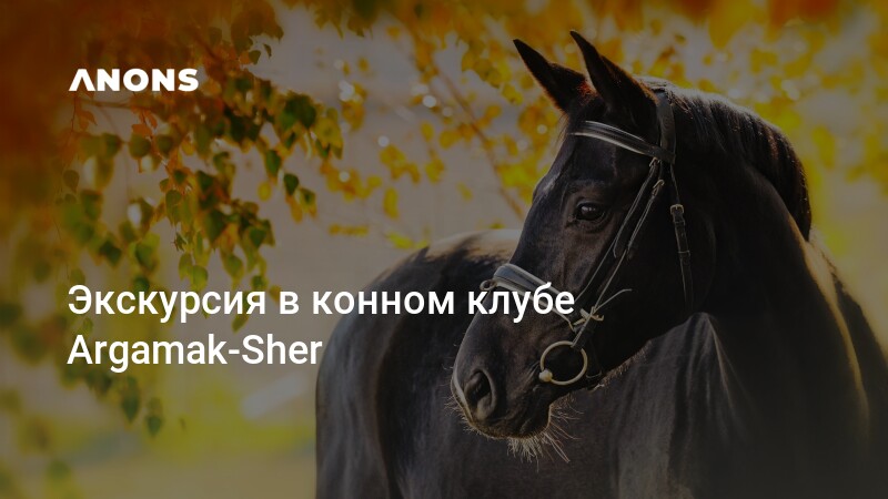 ANONS.uz - Экскурсия в конном клубе Argamak-Sher